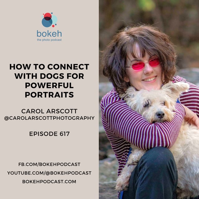 #617: How to Connect with Dogs for Powerful Portraits - Carol Arscott ...