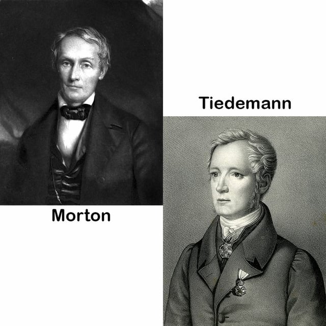 Morton-Tiedemann-Gould by @Jim · Zencastr