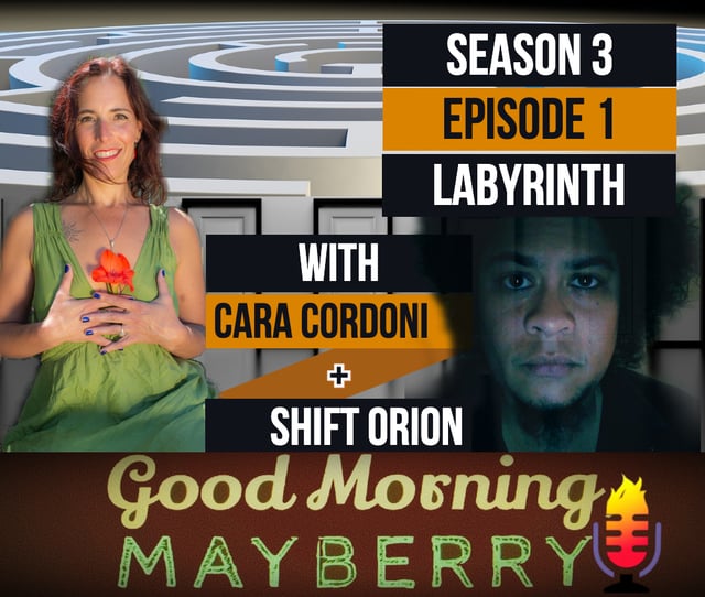 Labyrinth with Cara Cordoni by @Shift Orion · Zencastr Video