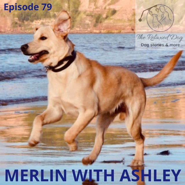 E79 Merlin with Ashley by @Robert Ober · Zencastr