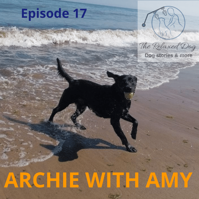 E17 Archie with Amy by @Robert Ober · Zencastr