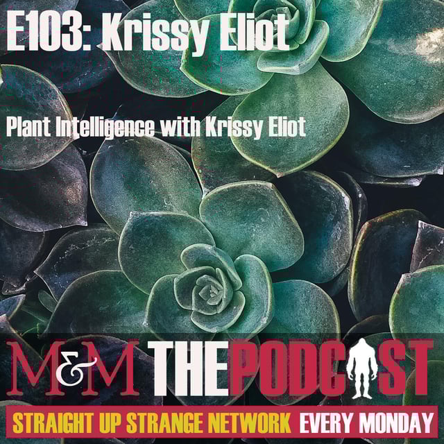 Mysteries and Monsters: Episode 103 Krissy Eliot by @Paul Bestall · Zencastr