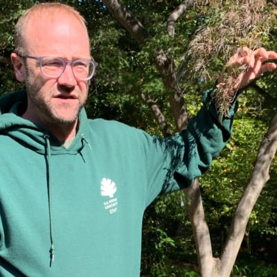 Japanese Maples by @Kathy Jentz · Zencastr