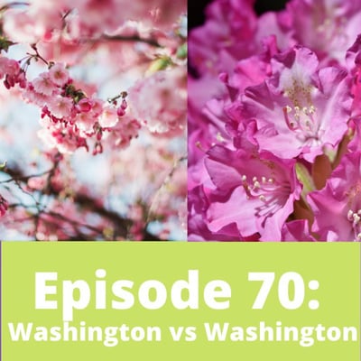 Washington vs Washington by @Kathy Jentz · Zencastr