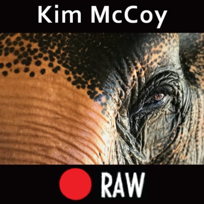 145 - REISSUE – Kim McCoy Gets Delightfully Bent About Animal Law by ...