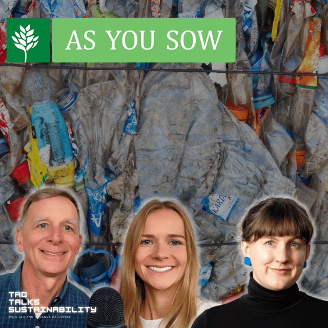 Incorporating the Circular Economy Mindset into Product Packaging with ...