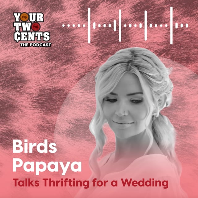 The Birds Papaya Returns To Talk Weddings By Sylvia Beirnes · Zencastr