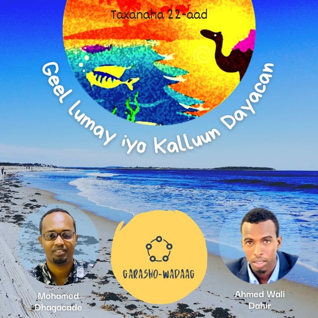 22. Geel lumay iyo Kalluun Dayacan by @Mubashir Mir · Zencastr