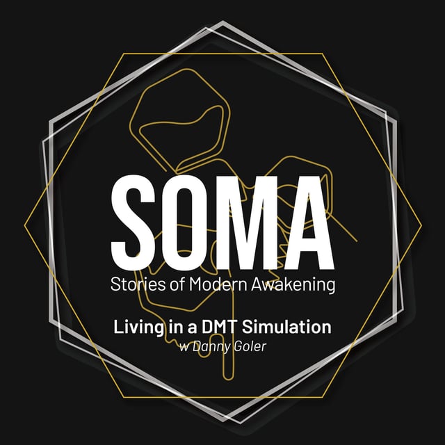 Living in a DMT Simulation: The Intersection of Psychedelics and ...