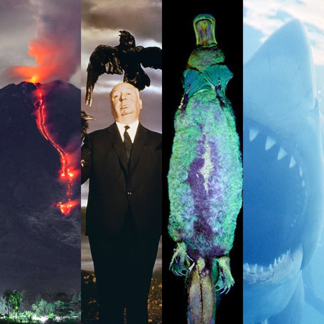 Mt. Rushmore of Mother Nature's Revenge by @Richard Manfredi · Zencastr