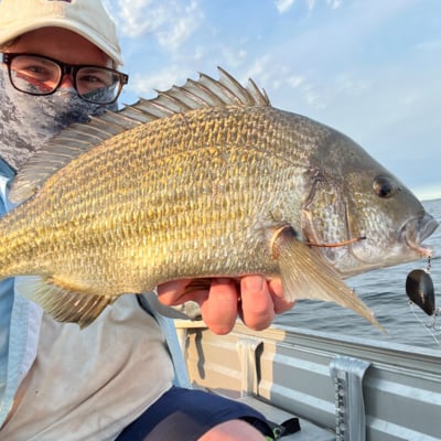 EP07 Southern Black Bream WA | Reade 'RWM_Fishing' Mogridge by @Peter ...