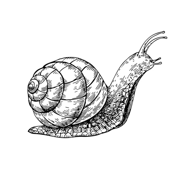 209 - Degrowth (feat. Timothée Parrique) by @Dominic Boyer · Zencastr